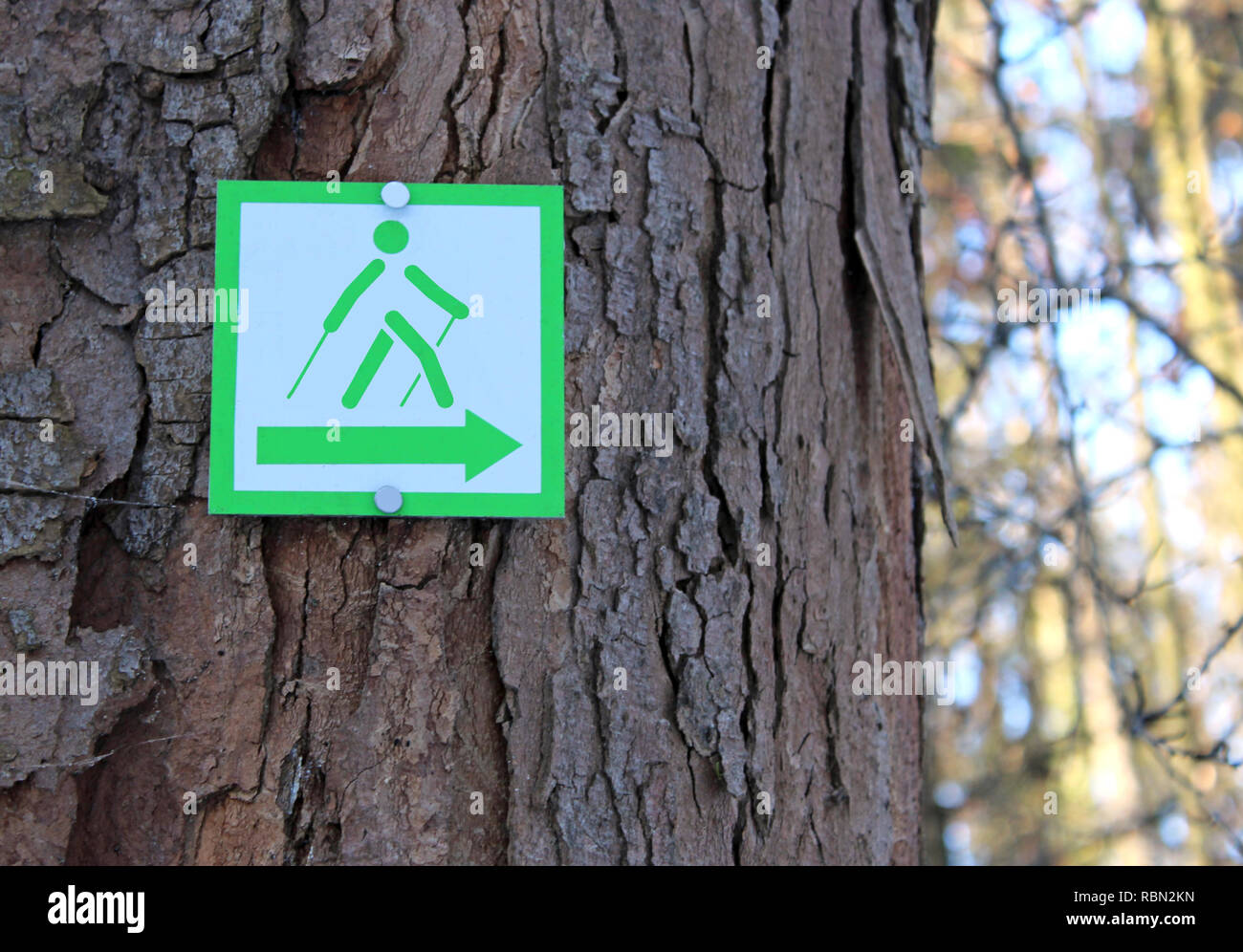 nordic walking sign on a tree, in the forest Stock Photo - Alamy