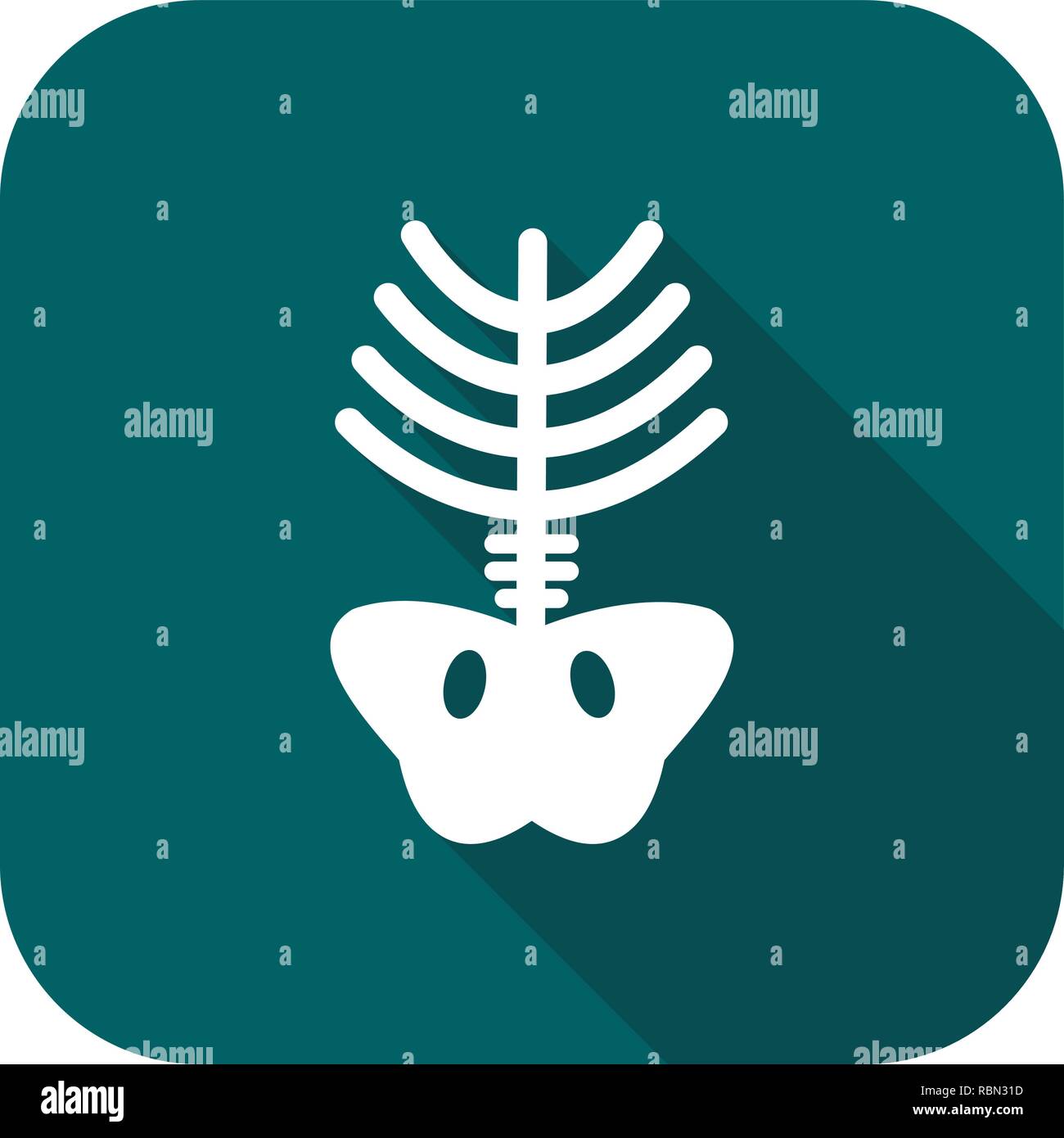 Vector Xray Icon Stock Vector Image & Art - Alamy