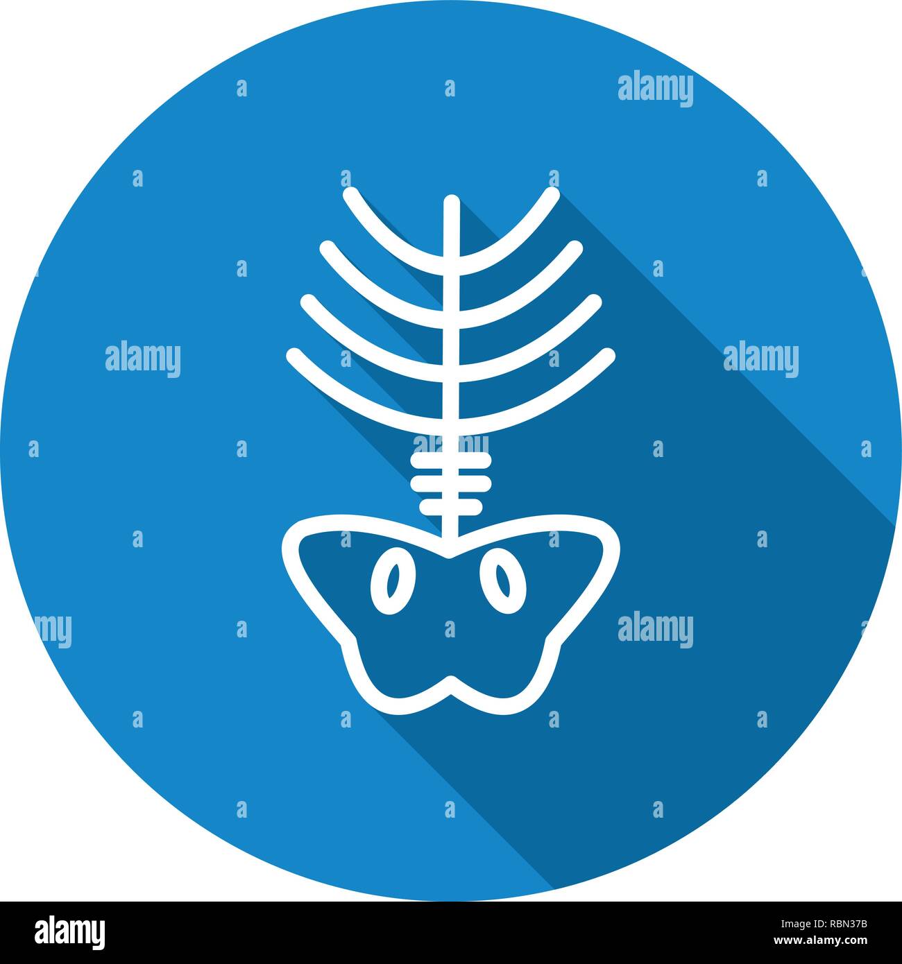 Vector Xray Icon Stock Vector Image & Art - Alamy