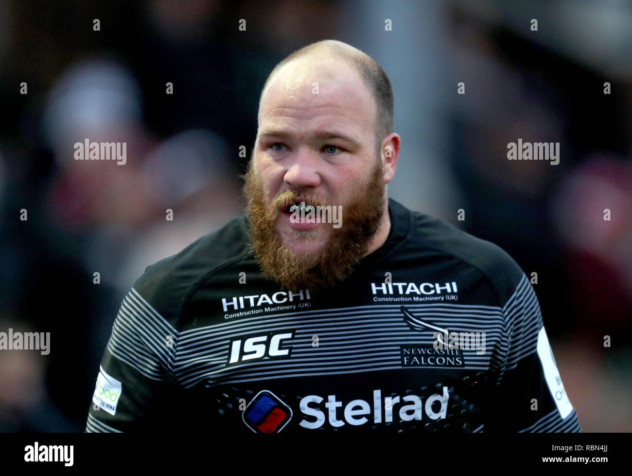 Newcastle Falcons' Kyle Cooper Stock Photo - Alamy