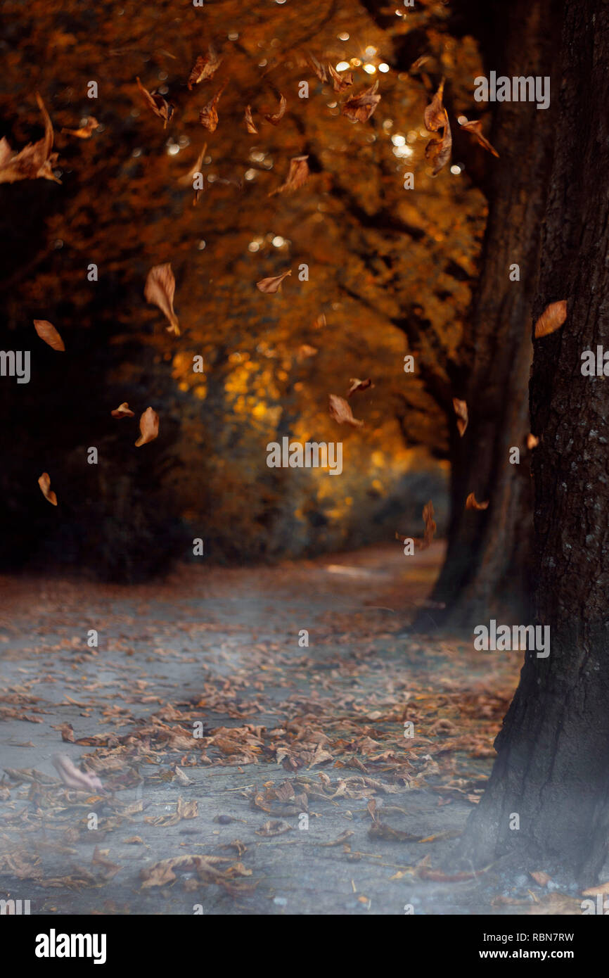 Lonely path hi-res stock photography and images - Alamy
