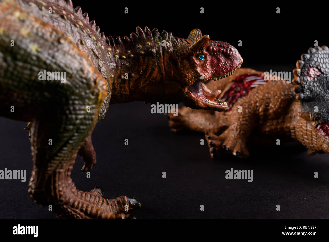 Carnotaurus triceratops hi-res stock photography and images - Alamy
