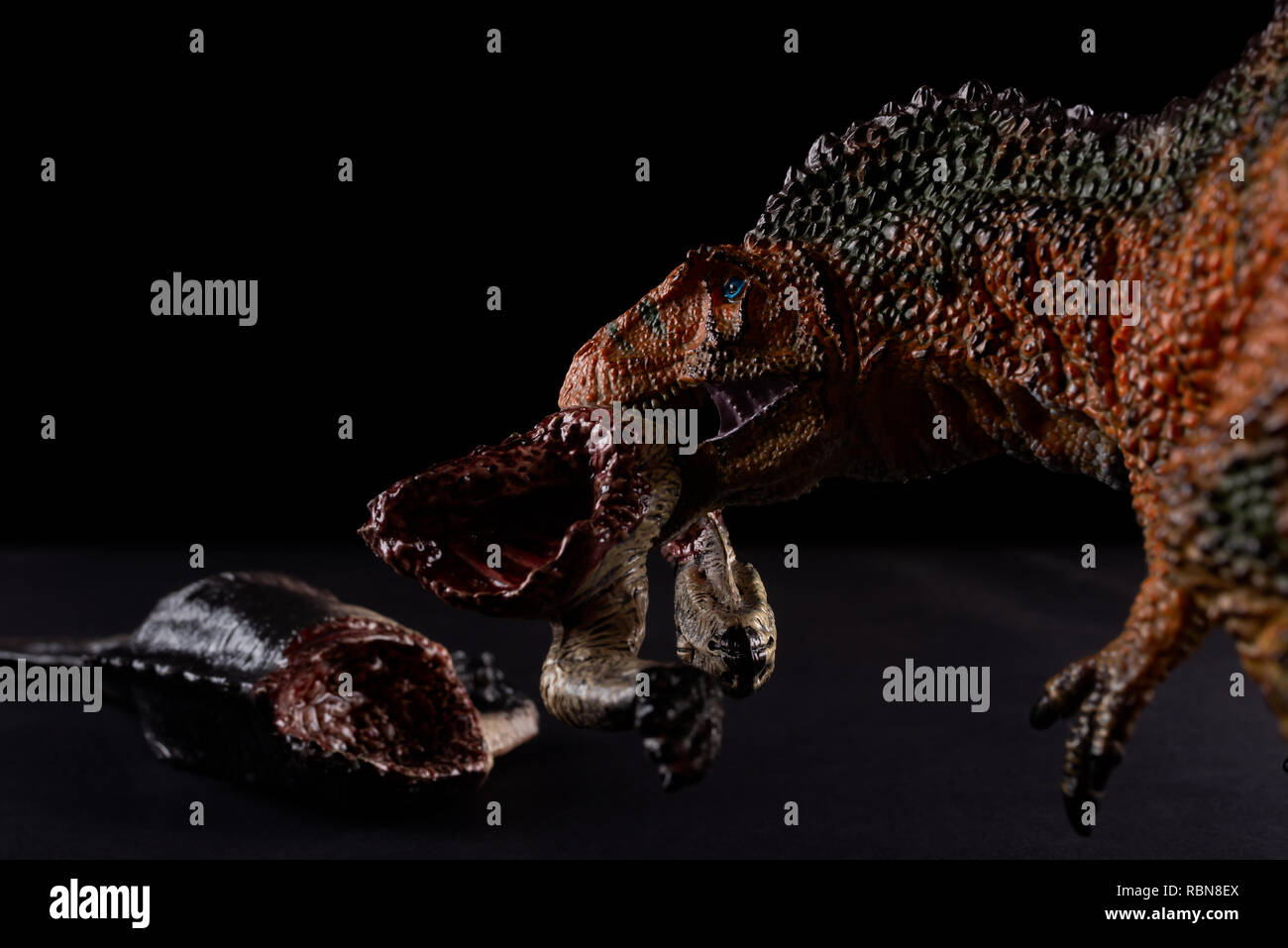 acrocanthosaurus biting a dinosaur body on dark background Stock Photo ...