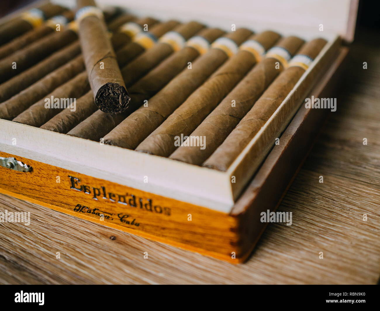 Cigar box containing hand made Cuban cigars Stock Photo - Alamy