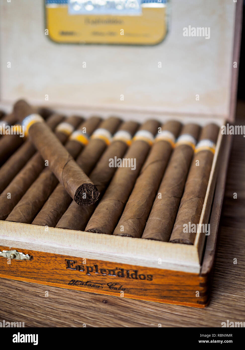 Cigar box containing Cohiba Esplendios cigars, hand made in Cuba Stock ...