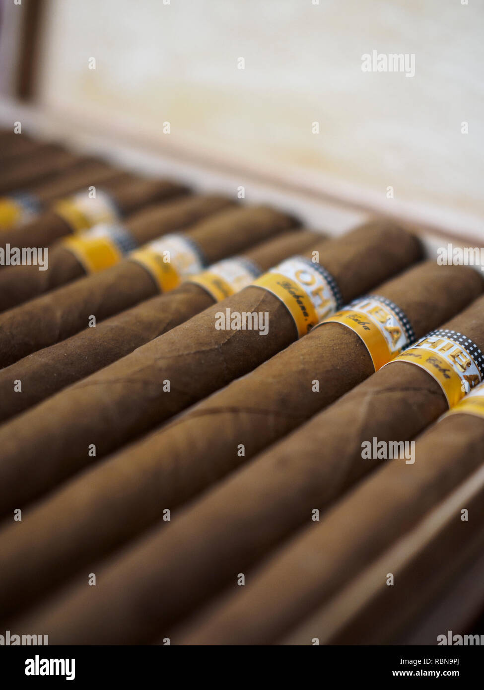 Cuban cigar case hi-res stock photography and images - Alamy