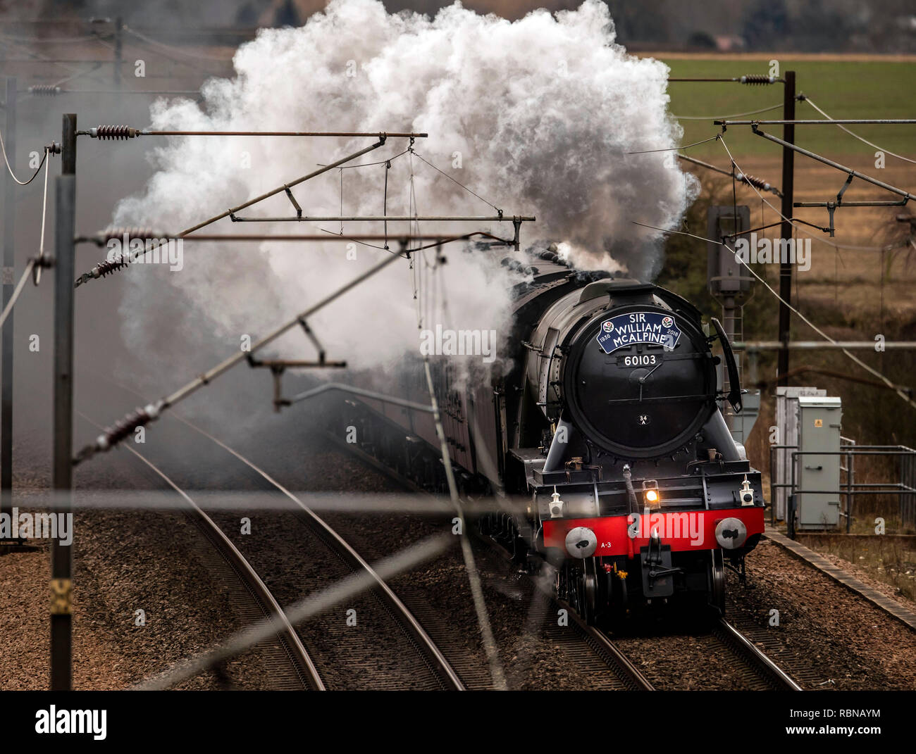 The Flying Scotsman, renamed as Sir William McAlpine, near Colton ...