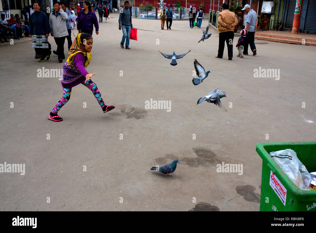 A girl has fun chasing pigeons at Chowrasta in Darjeeling Stock Photo ...