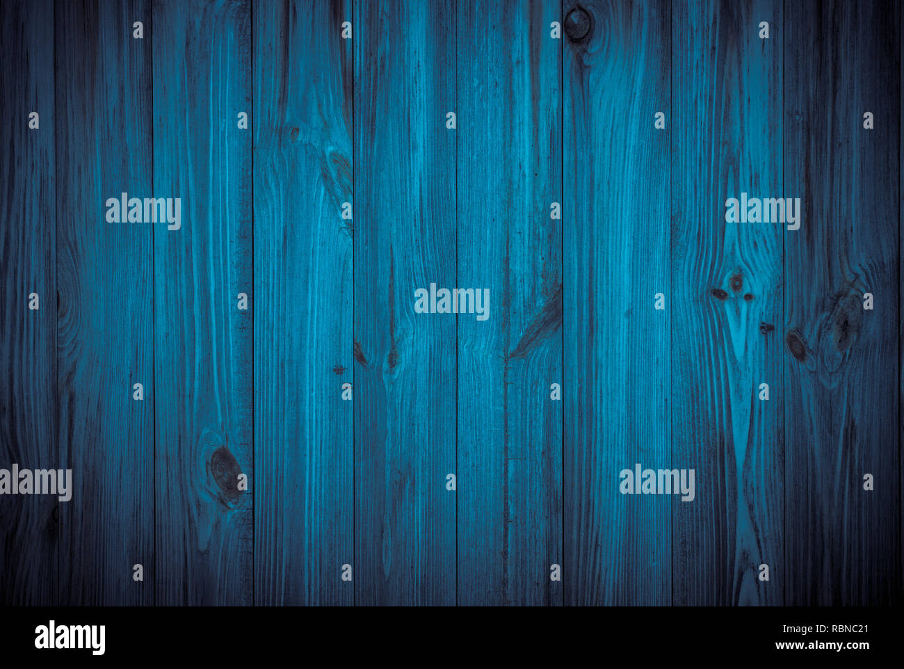 Dark blue background tree textured. Front view with empty spase ...