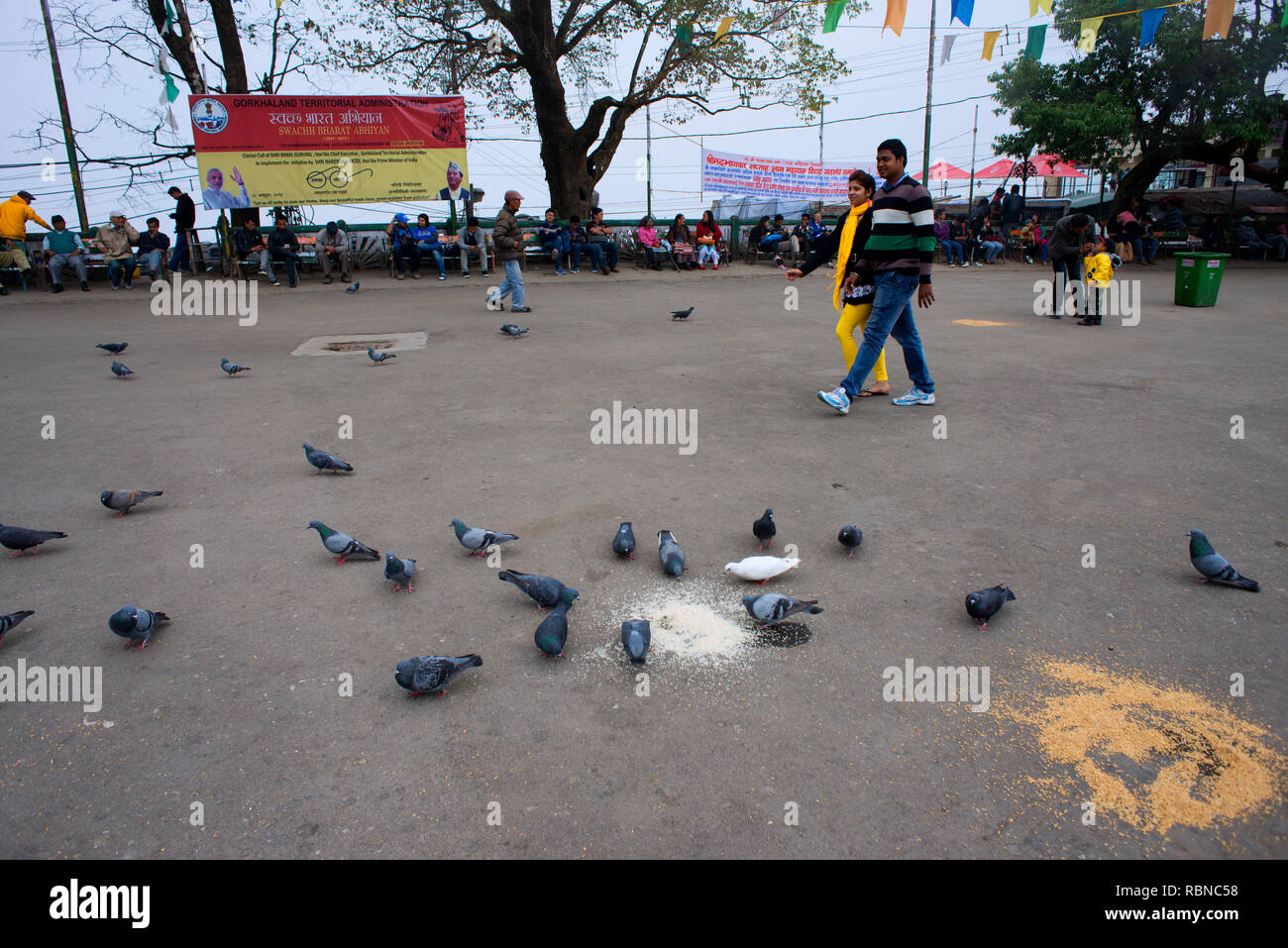 Chowrasta mall hi-res stock photography and images - Alamy