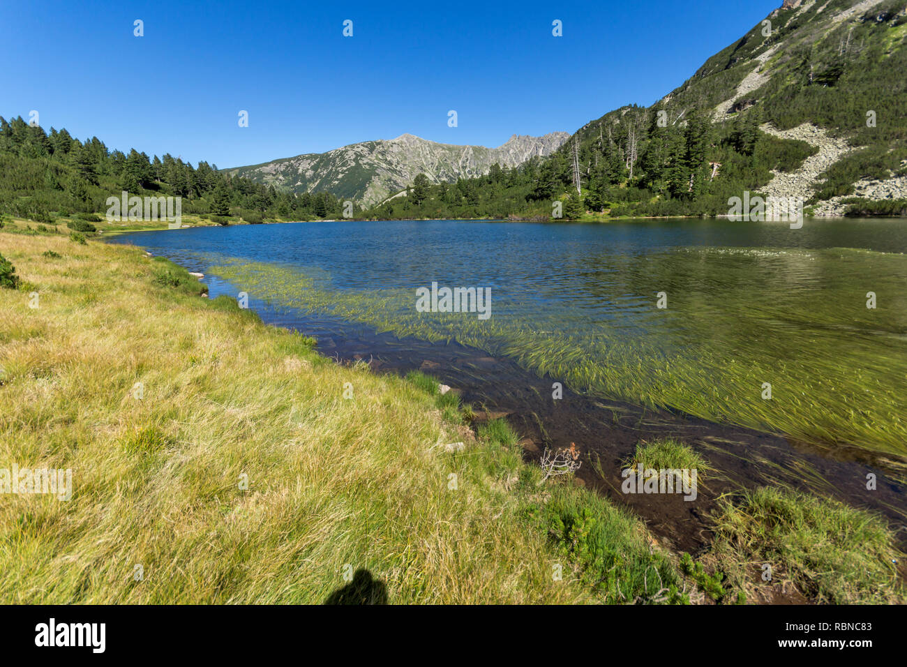 Landscape with Clear waters of Fish Vasilashko lake, Pirin Mountain ...