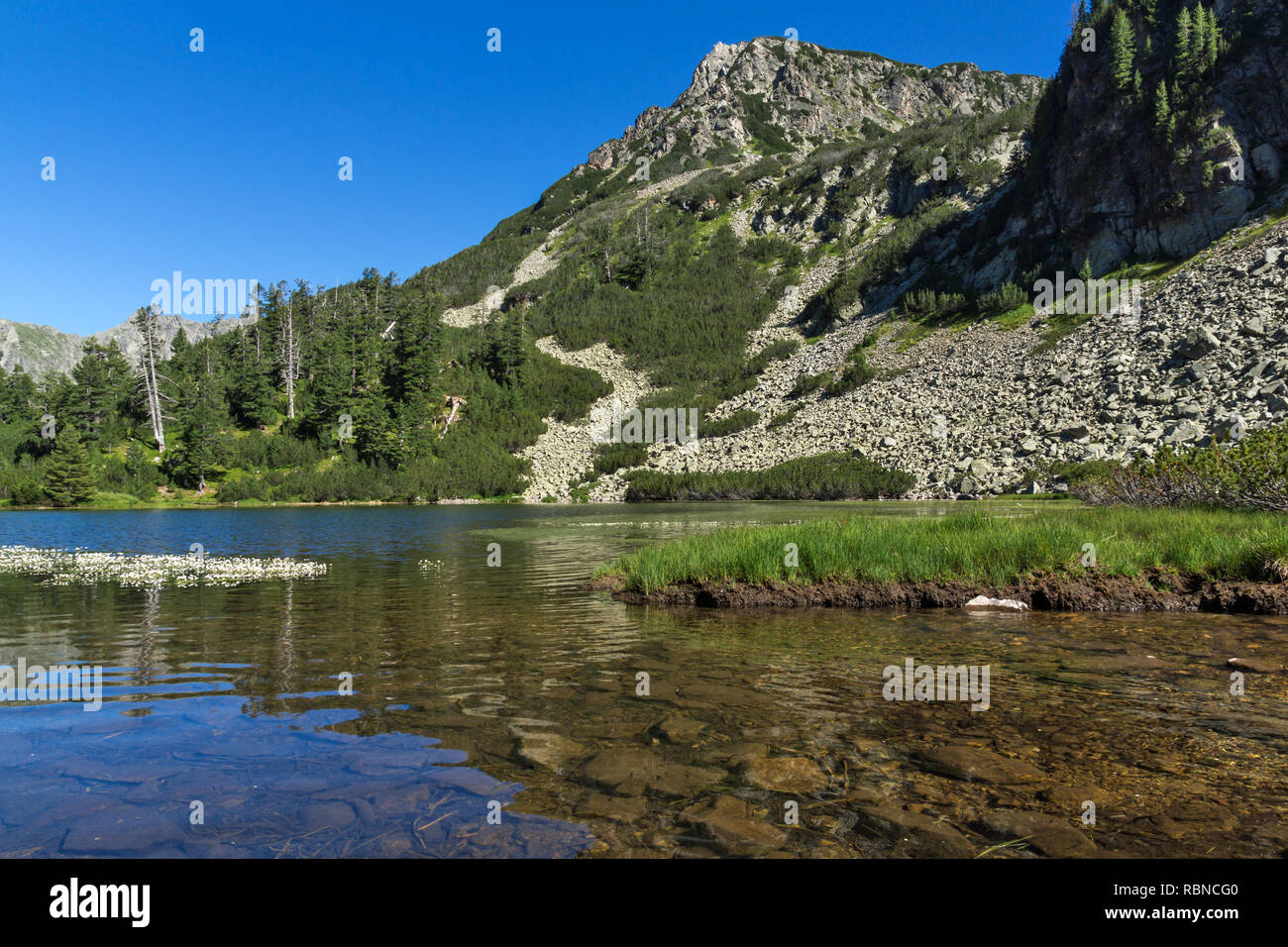 Landscape with Clear waters of Fish Vasilashko lake, Pirin Mountain ...
