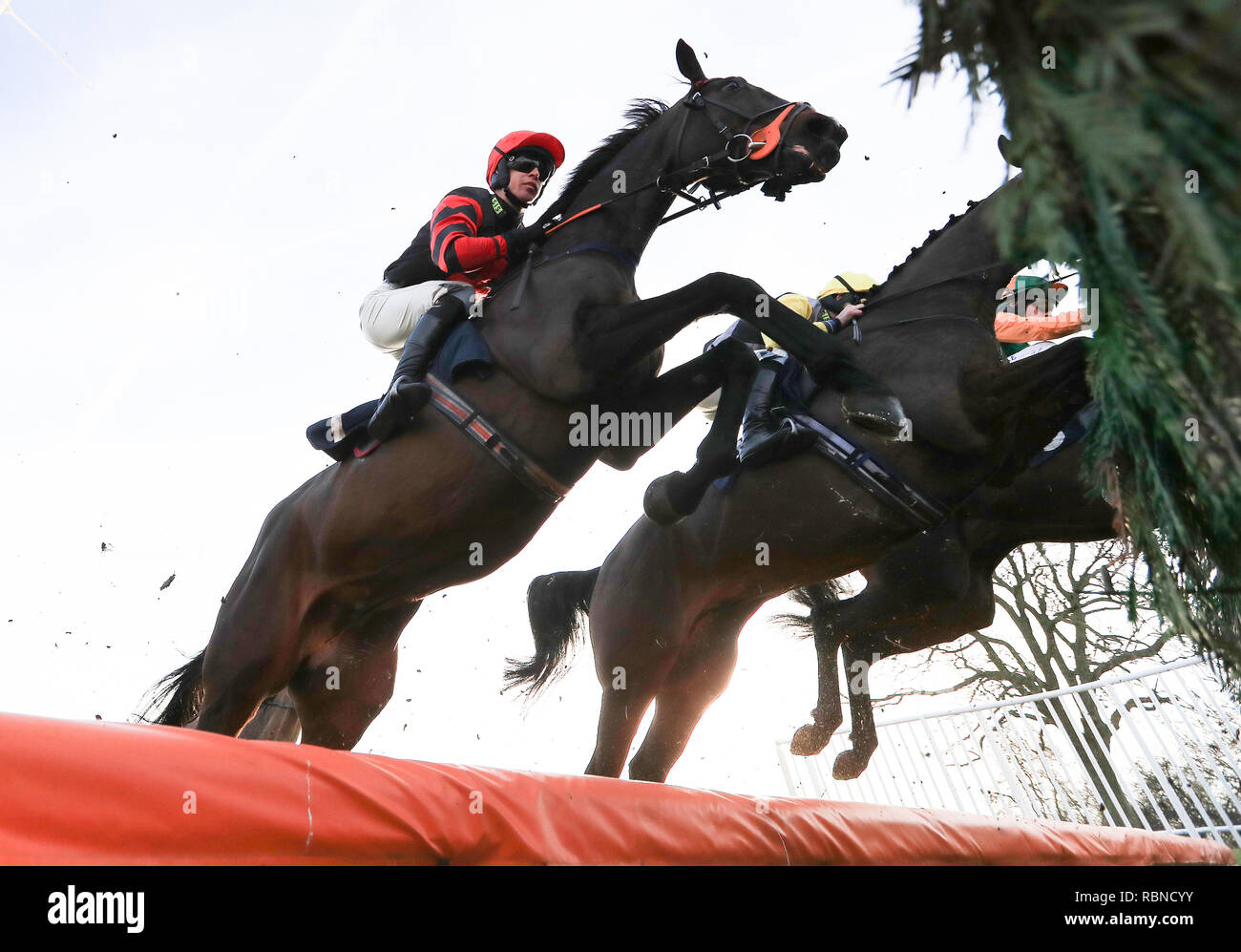 Fly home harry ridden hi-res stock photography and images - Alamy