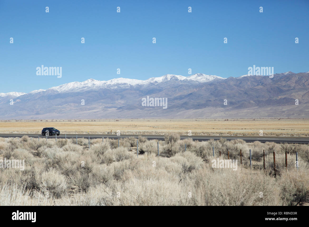 Bishop in California, USA Stock Photo - Alamy