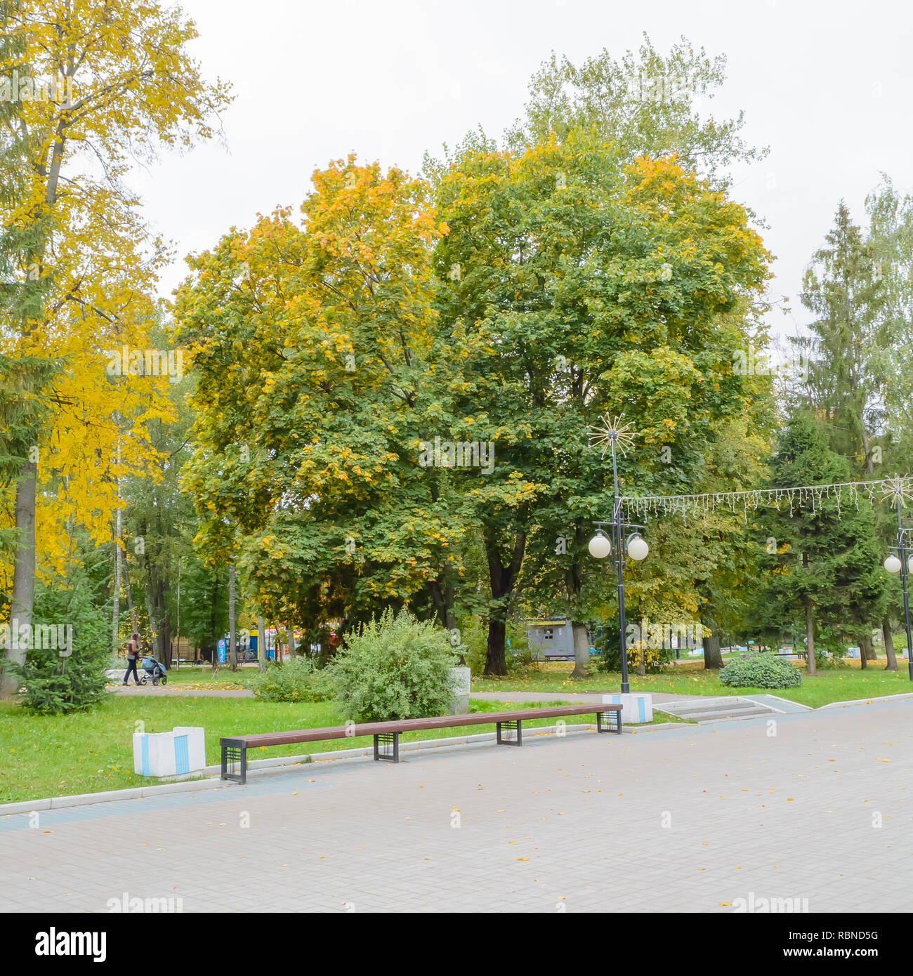 Culture tree hi-res stock photography and images - Alamy