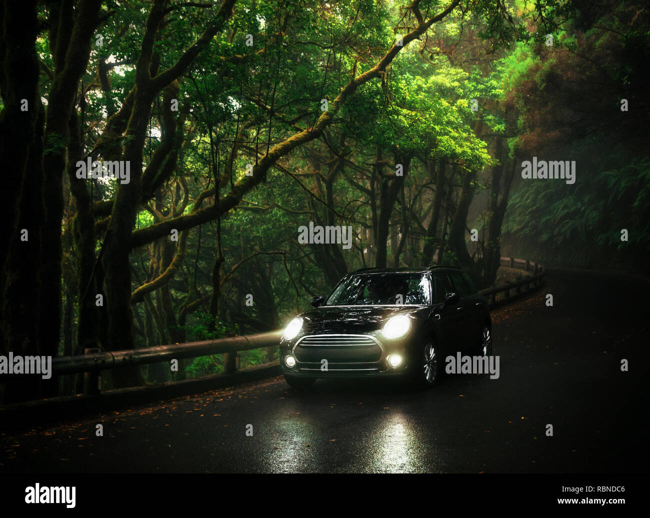 Road Trip by car across magic misty forest of Anaga Rural Park ...