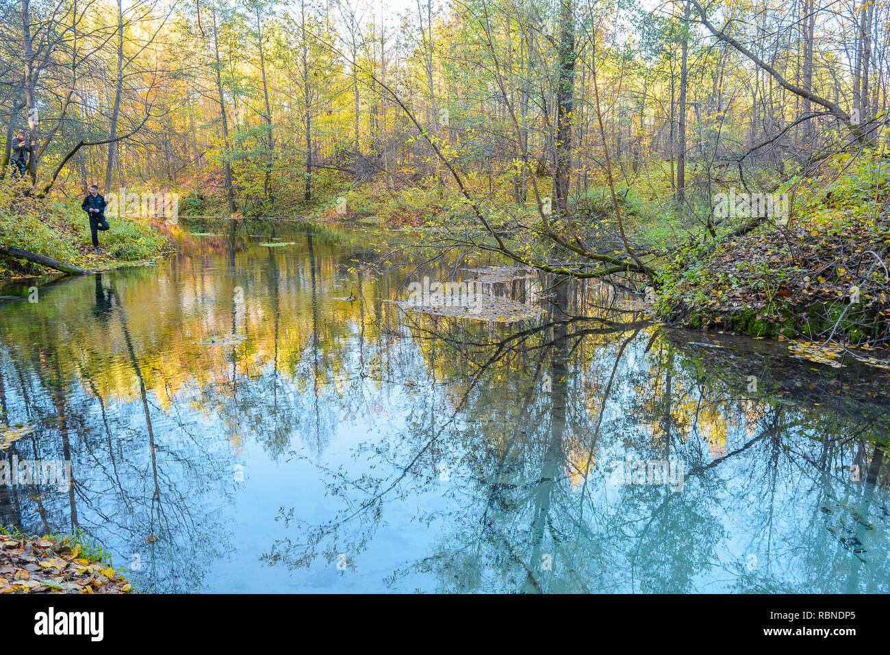 Forest river, Spring water, Reflection in the water Stock Photo - Alamy
