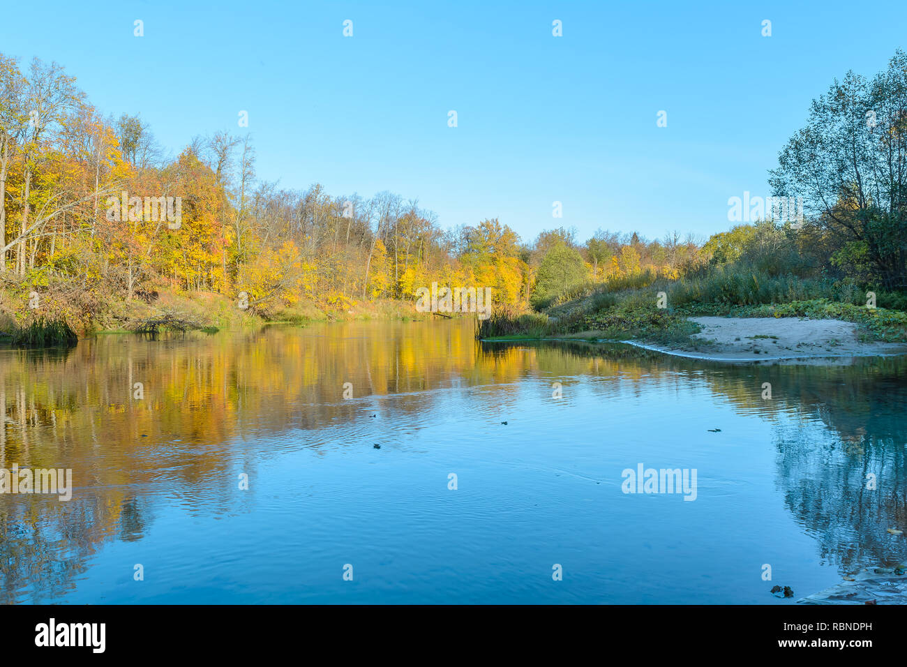 Forest river, Spring water, Reflection in the water Stock Photo - Alamy