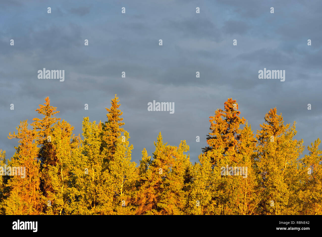 Fort smith northwest territories hi-res stock photography and images ...