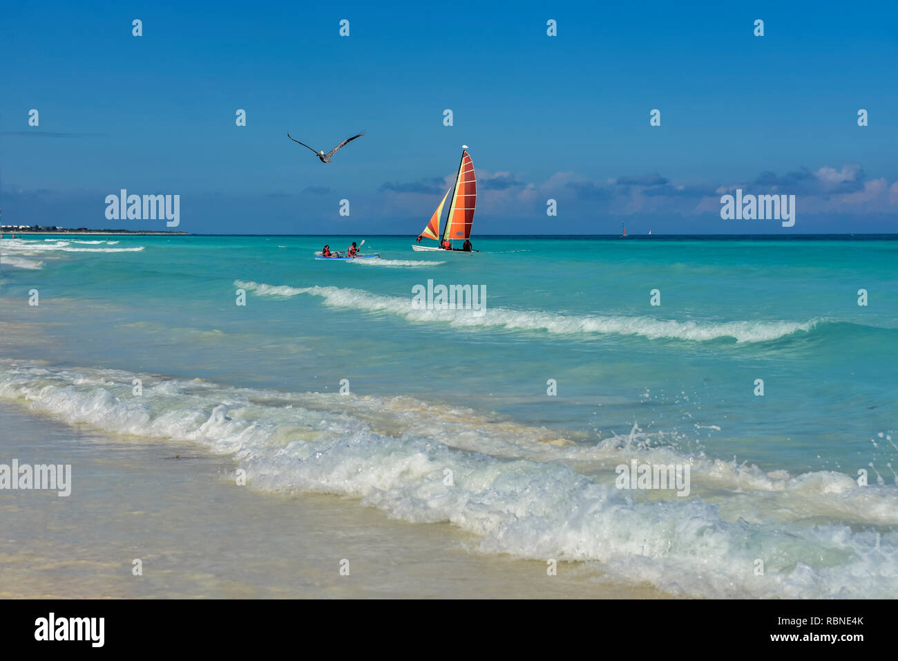 Beach with white sand and turquoise water in Cuba Stock Photo - Alamy