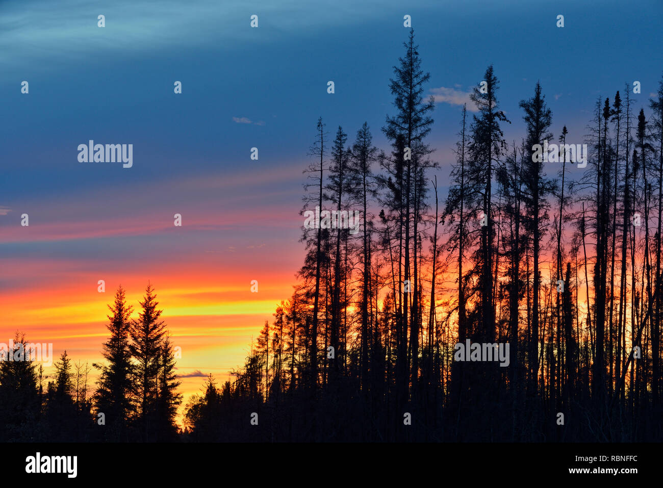 Canada forest fire hi-res stock photography and images - Alamy