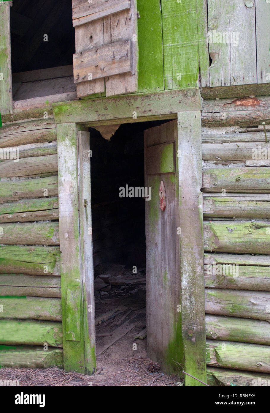 Mildew has collected on the logs around the doors and windows of an ...