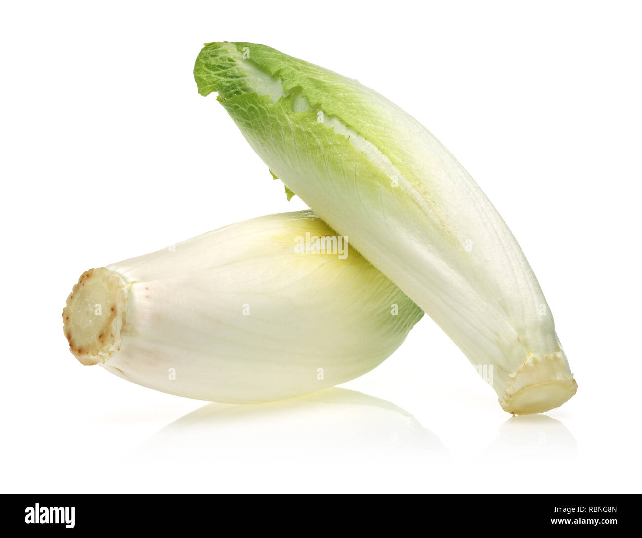 Fresh endive isolated on white background Stock Photo - Alamy