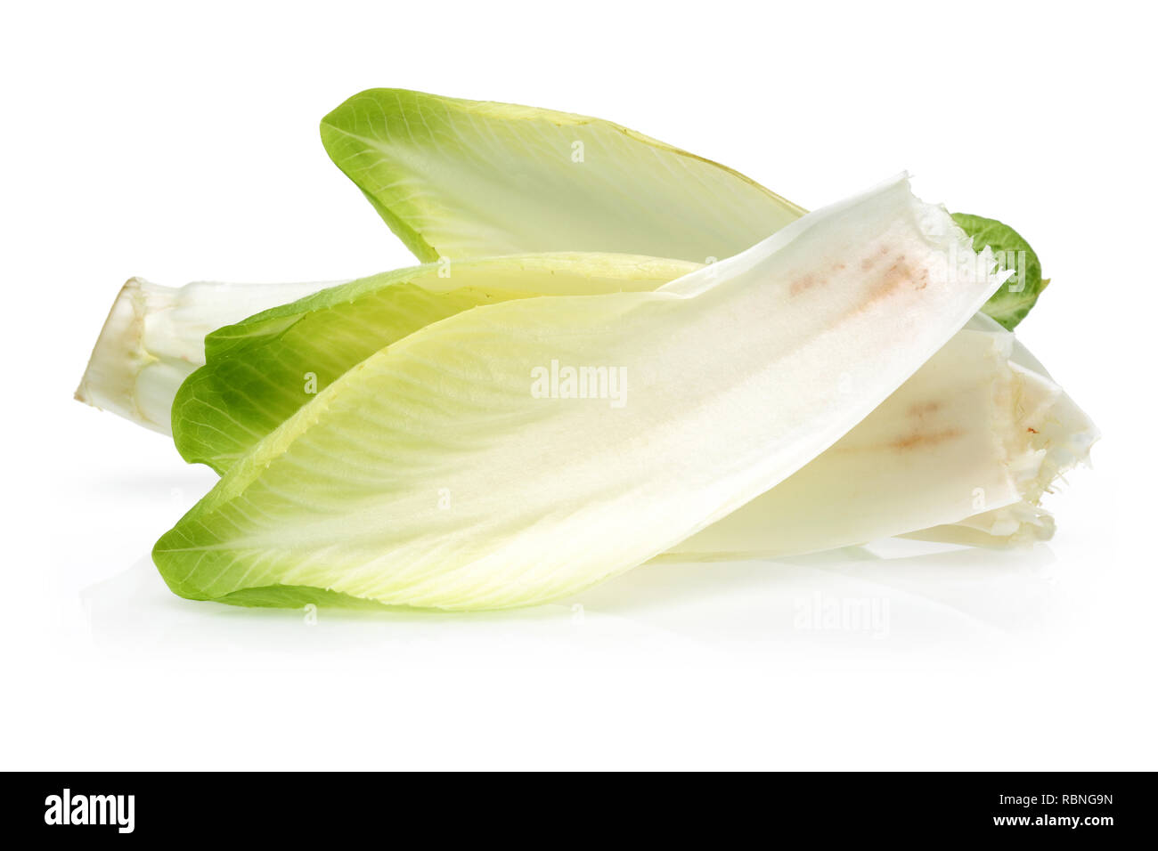 Fresh endive isolated on white background Stock Photo - Alamy