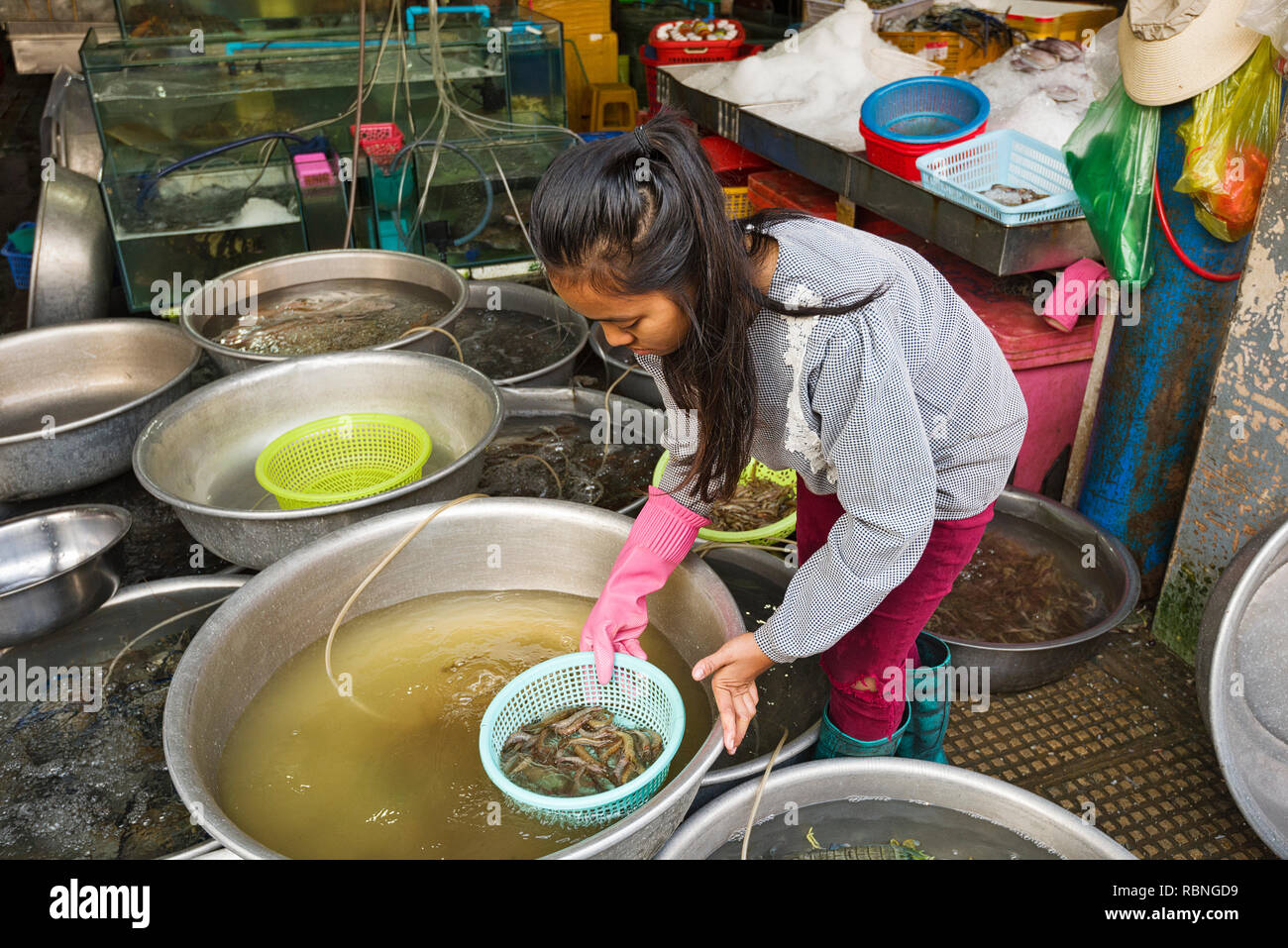 live shrimp stand in the Central Market in Phnom Penh, Cambodia Stock ...