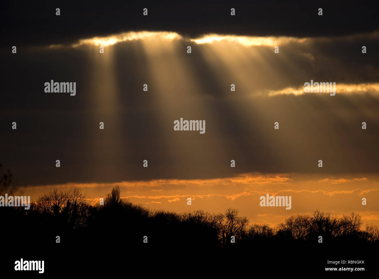 Sunlight shaft hi-res stock photography and images - Alamy