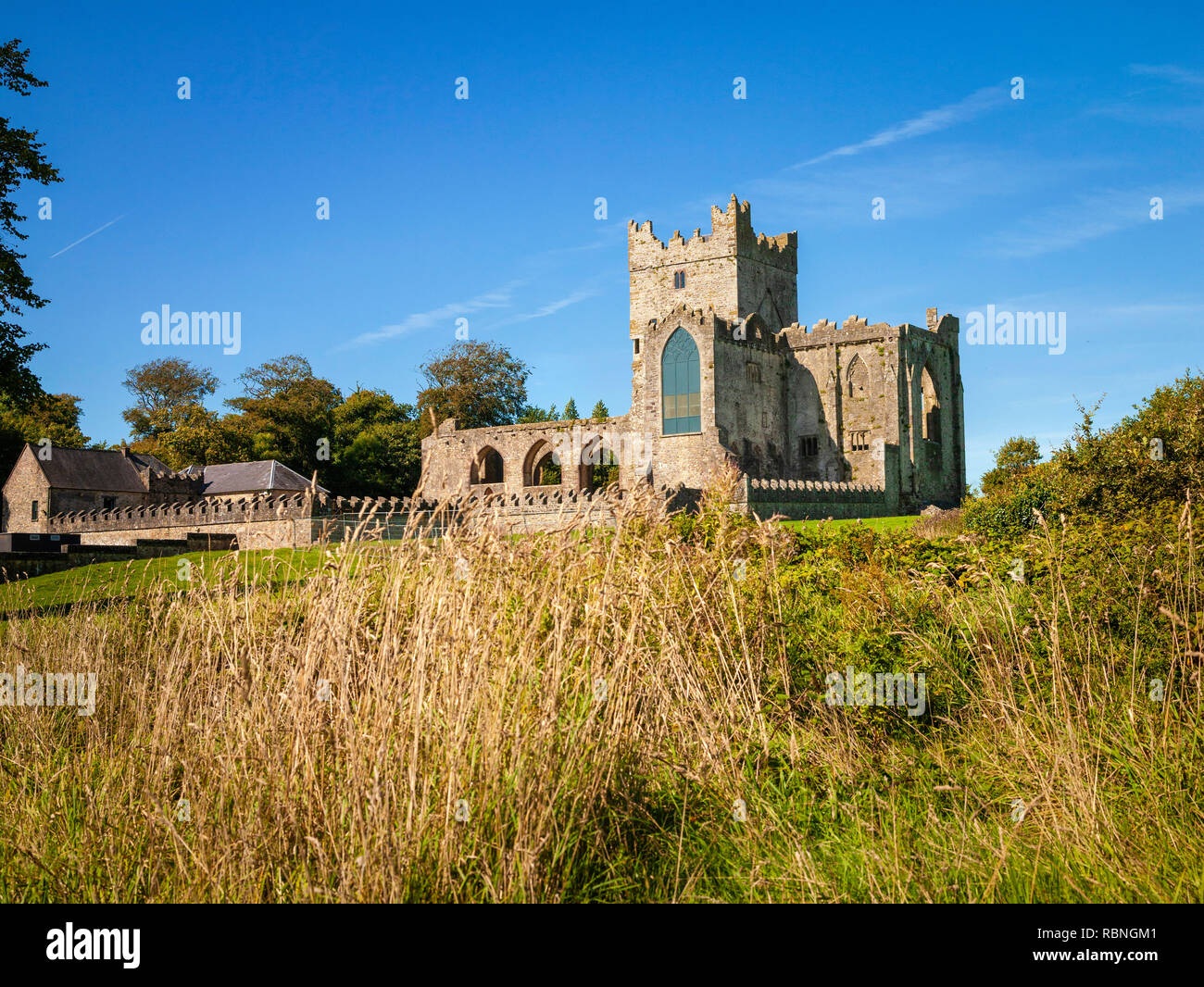 Tintern abbey wexford hi-res stock photography and images - Alamy