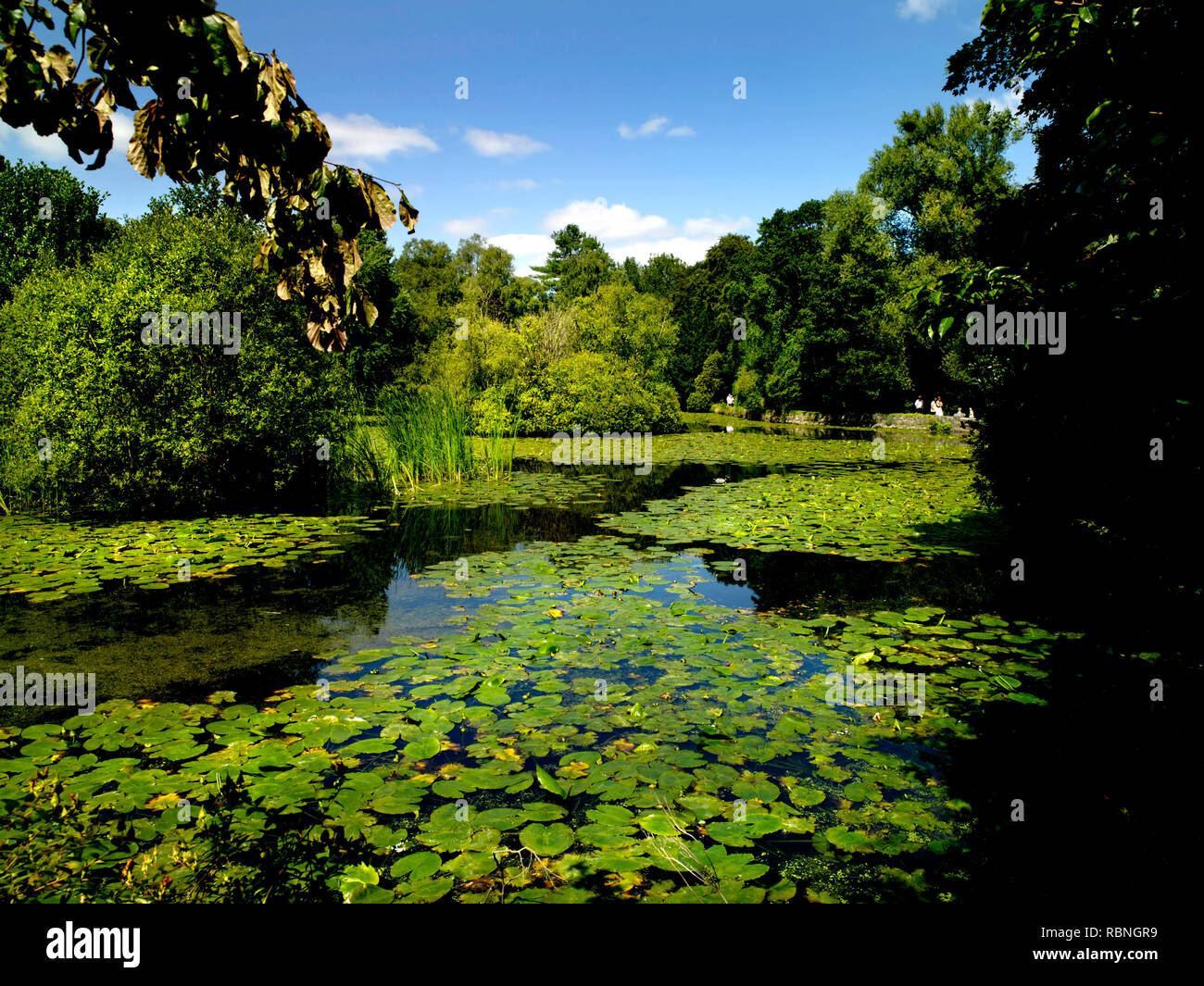 Altamont gardens hi-res stock photography and images - Alamy