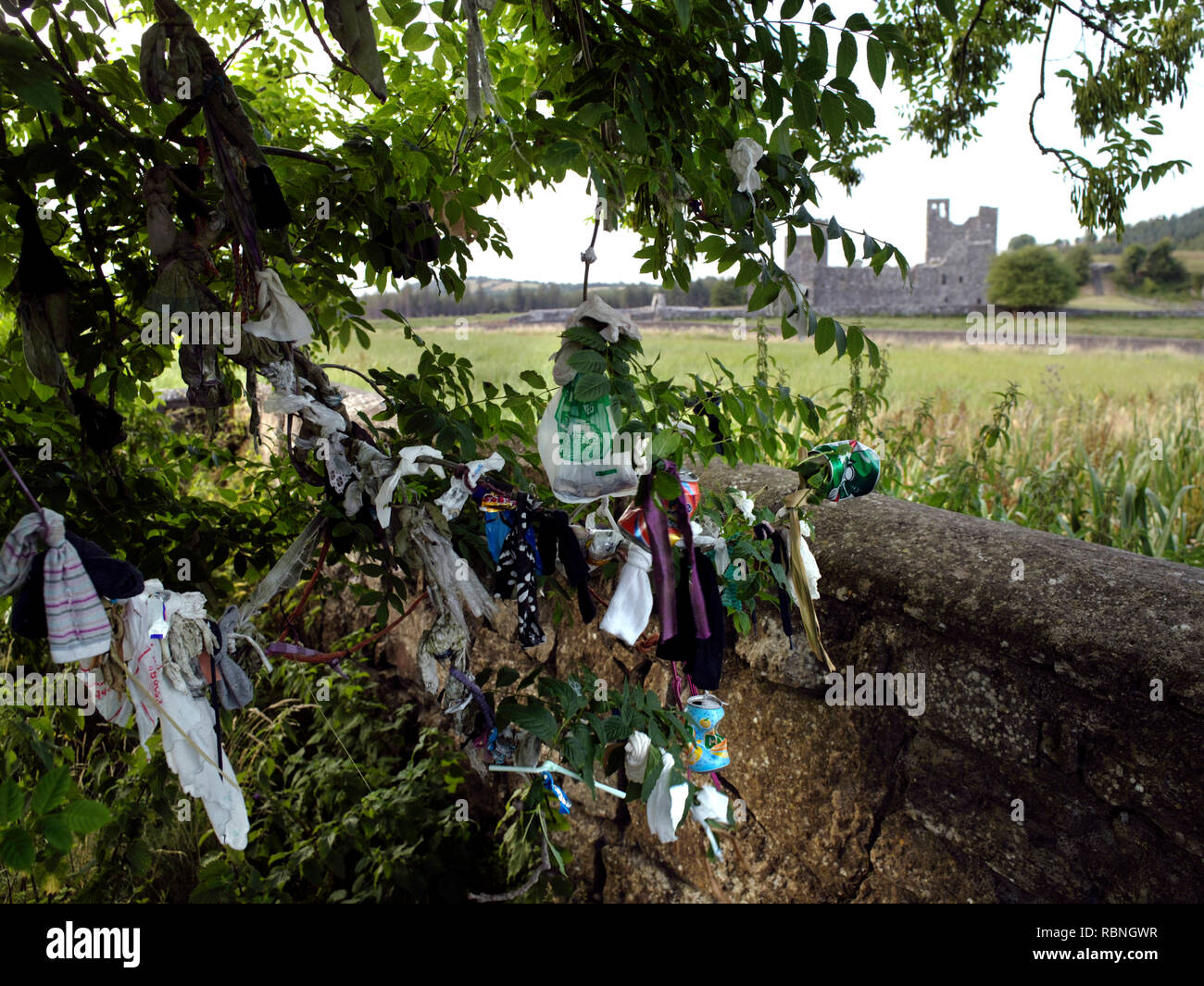 Fairy Tree Ireland High Resolution Stock Photography and Images - Alamy