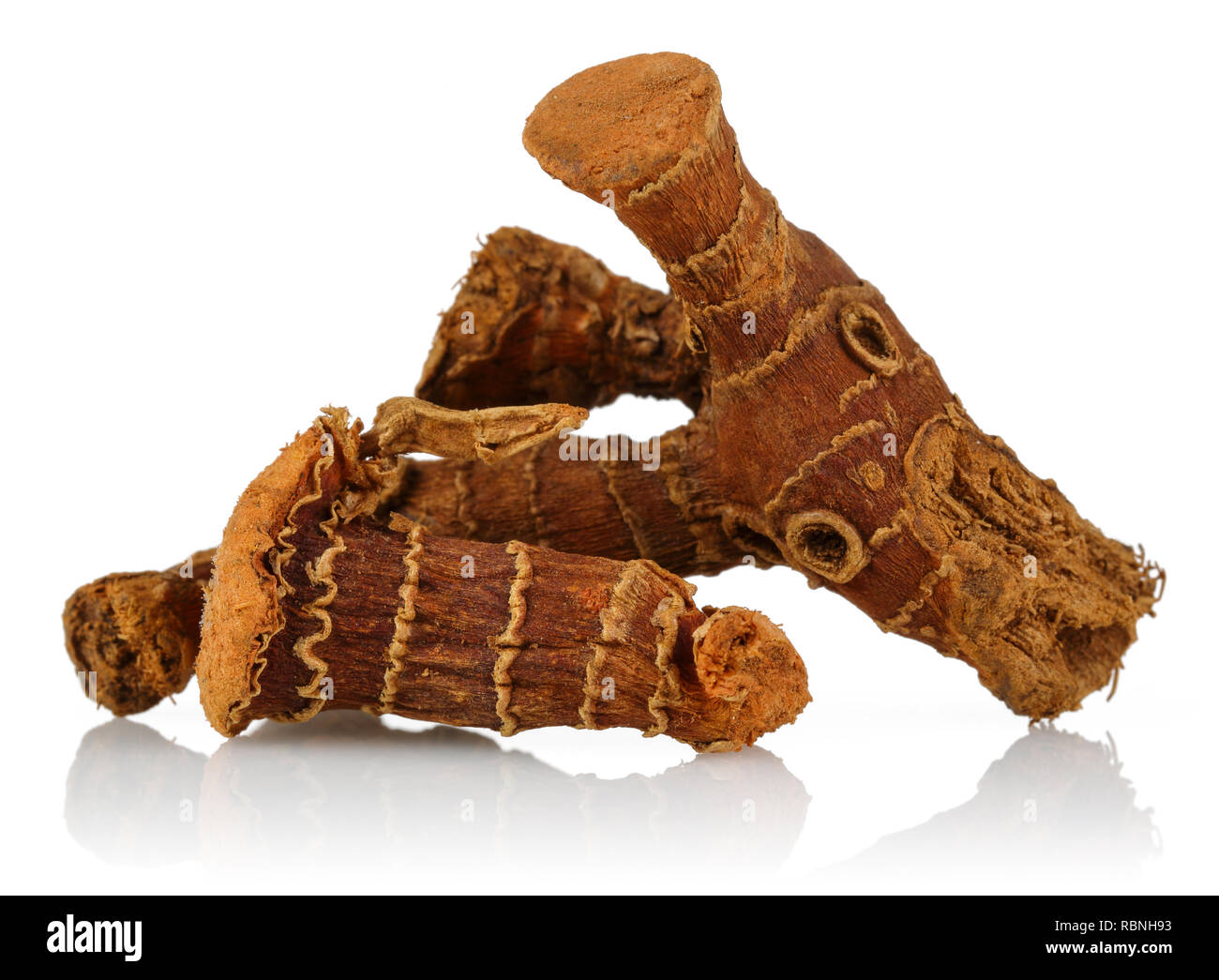 Dry Galangal root isolated on white background Stock Photo - Alamy