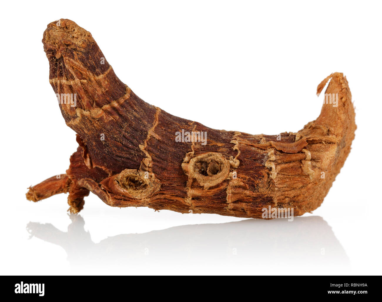 Dry Galangal root isolated on white background Stock Photo - Alamy