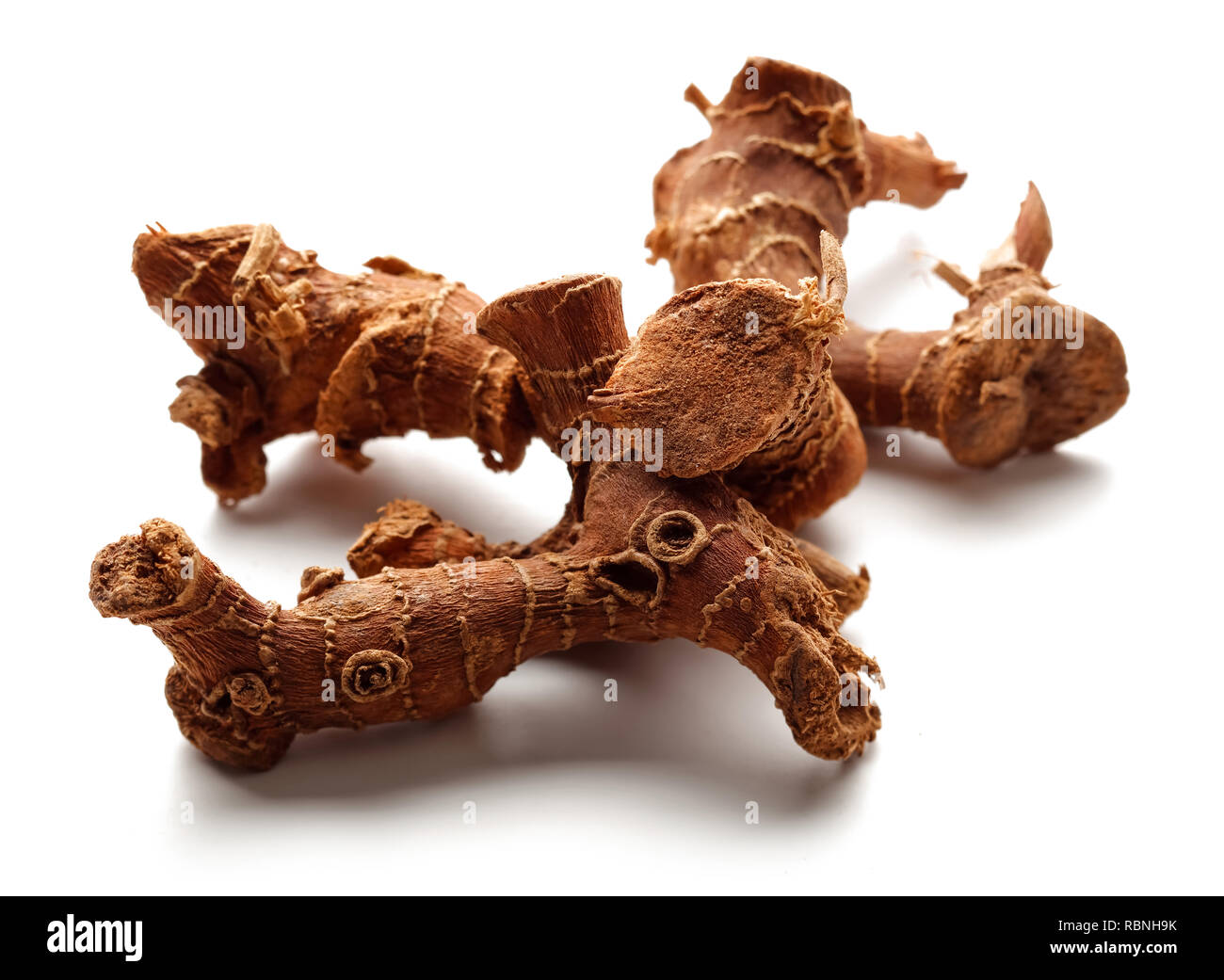 Dry Galangal root isolated on white background Stock Photo - Alamy