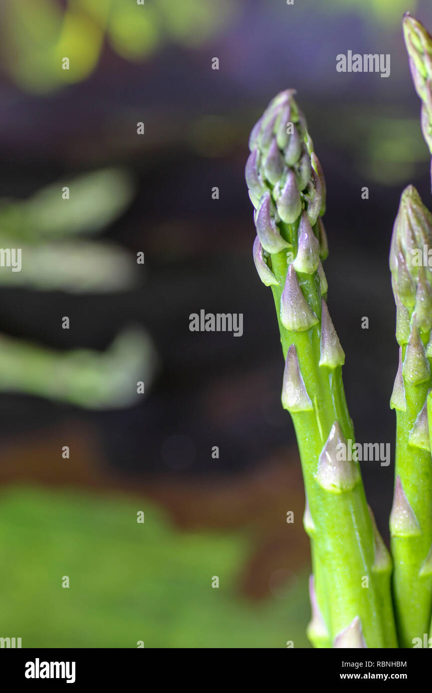 Asparagus tips food close - up photograph Stock Photo - Alamy