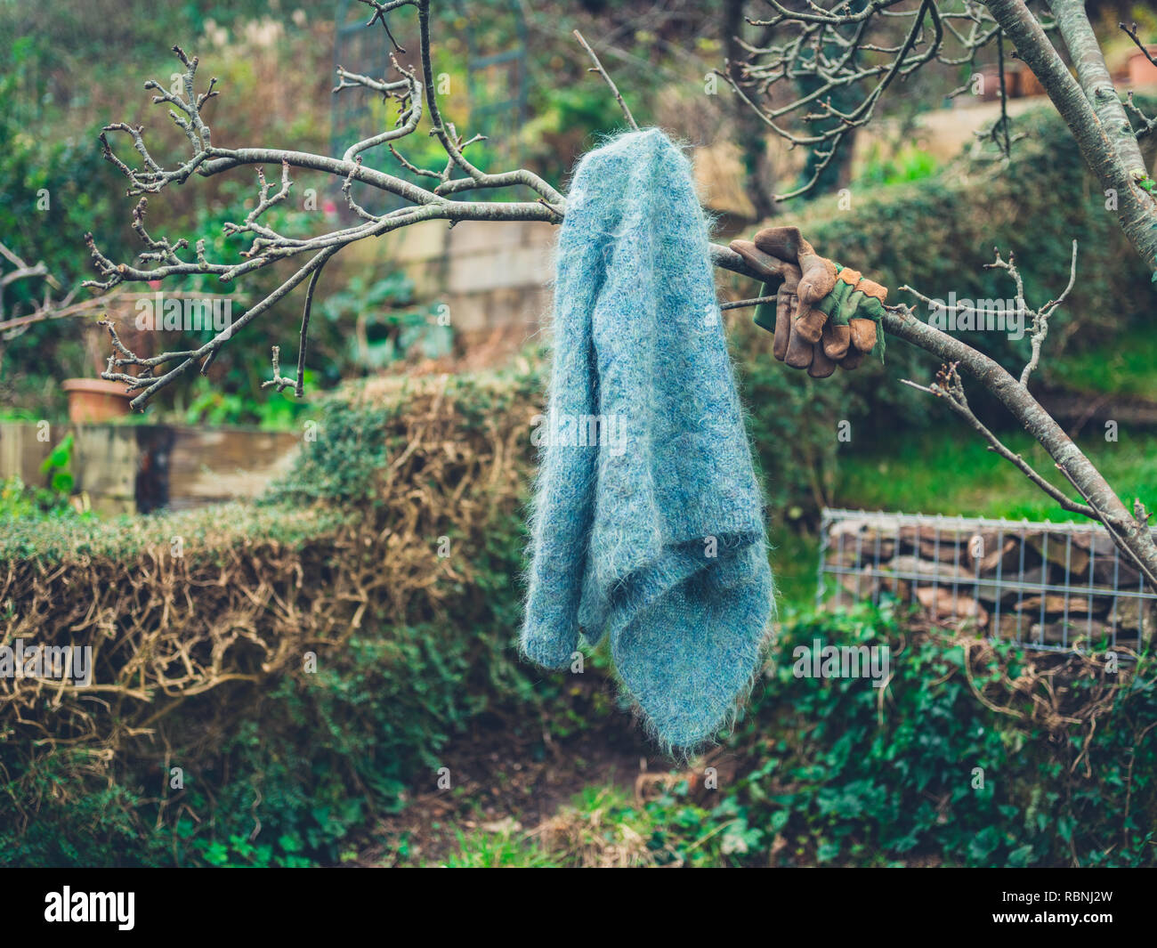 Tree jumper hi-res stock photography and images - Alamy