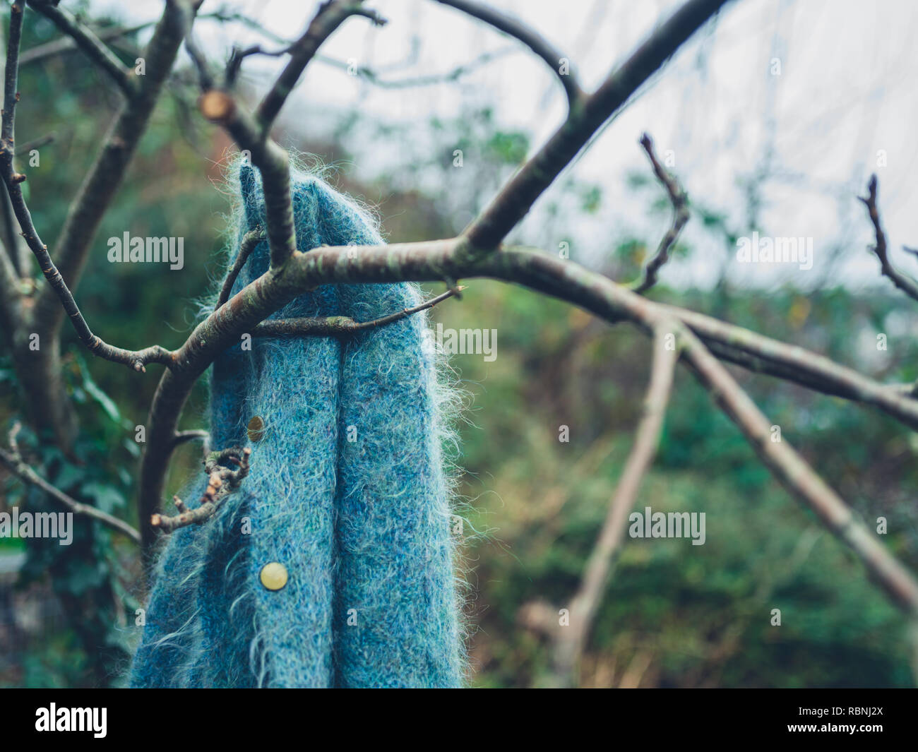 Woolen tree hi-res stock photography and images - Alamy