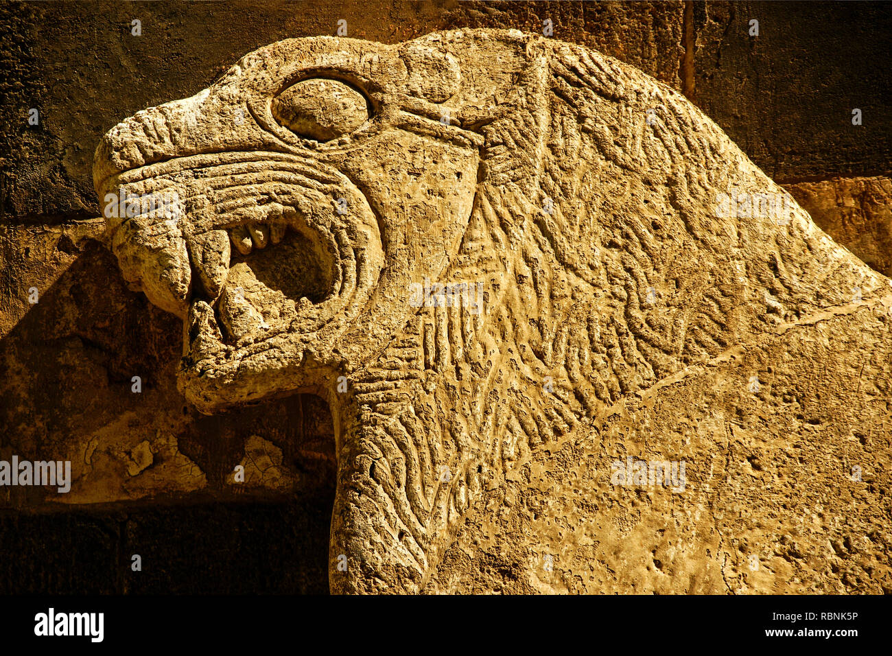 Lion palmyrien style at the Azem Palace, Damascus. Syria, Middle East ...