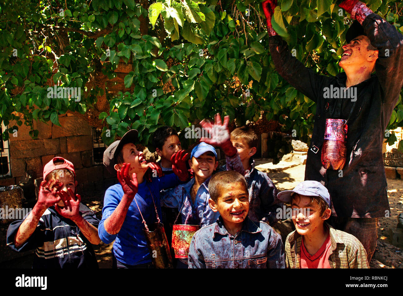 Qanawat syria middle east hi-res stock photography and images - Alamy