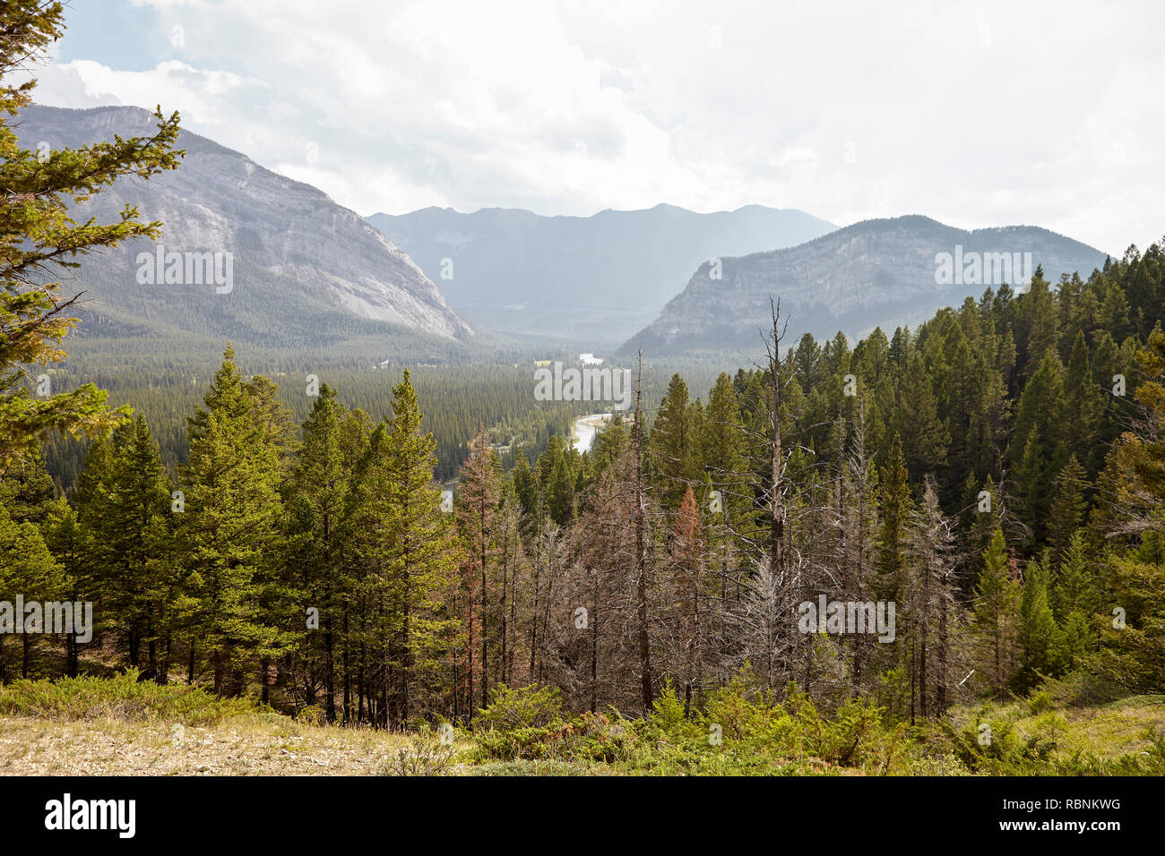 River view with mountains hi-res stock photography and images - Alamy