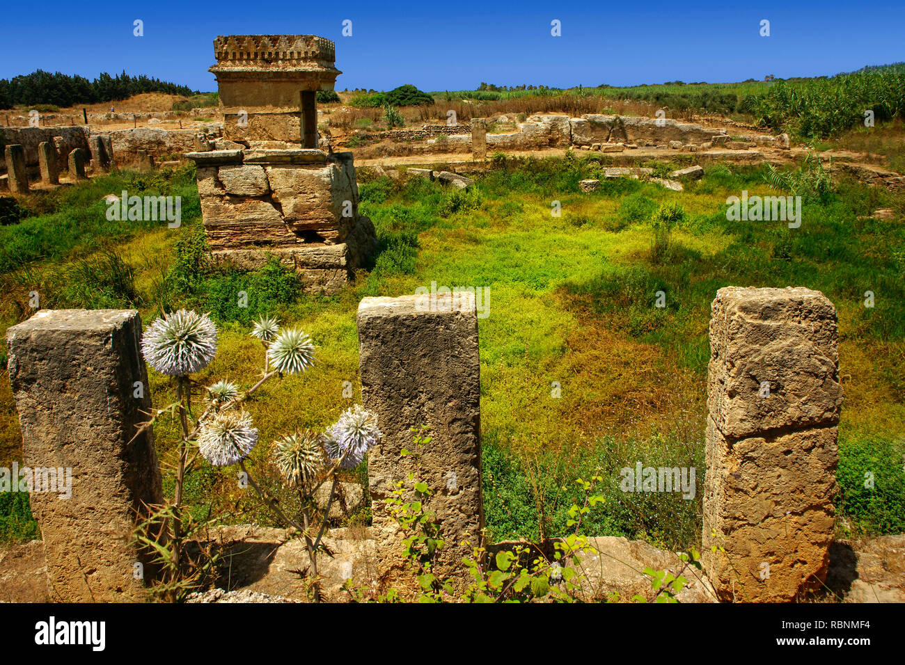 Phenicien temple at Amrit, Tartus. Syria, Middle East Stock Photo - Alamy