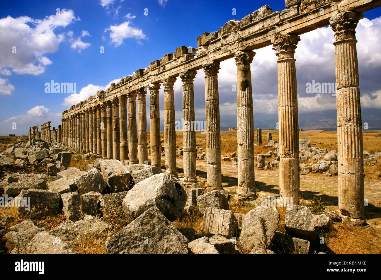 Trajan columns, Roman city Apamea. Syria, Middle East Stock Photo - Alamy