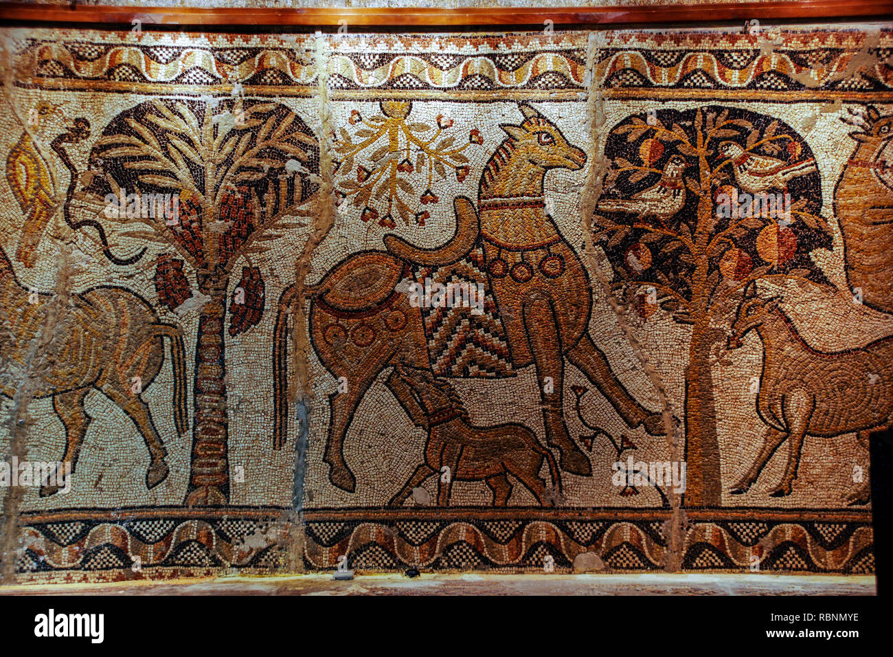 Mosaic, Museum Khan Murat Basha. Maarat al-Nouman. Syria, Middle East ...