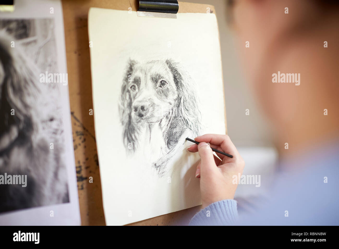 Rear View Of Female Teenage Artist Sitting At Easel Drawing Picture Of ...