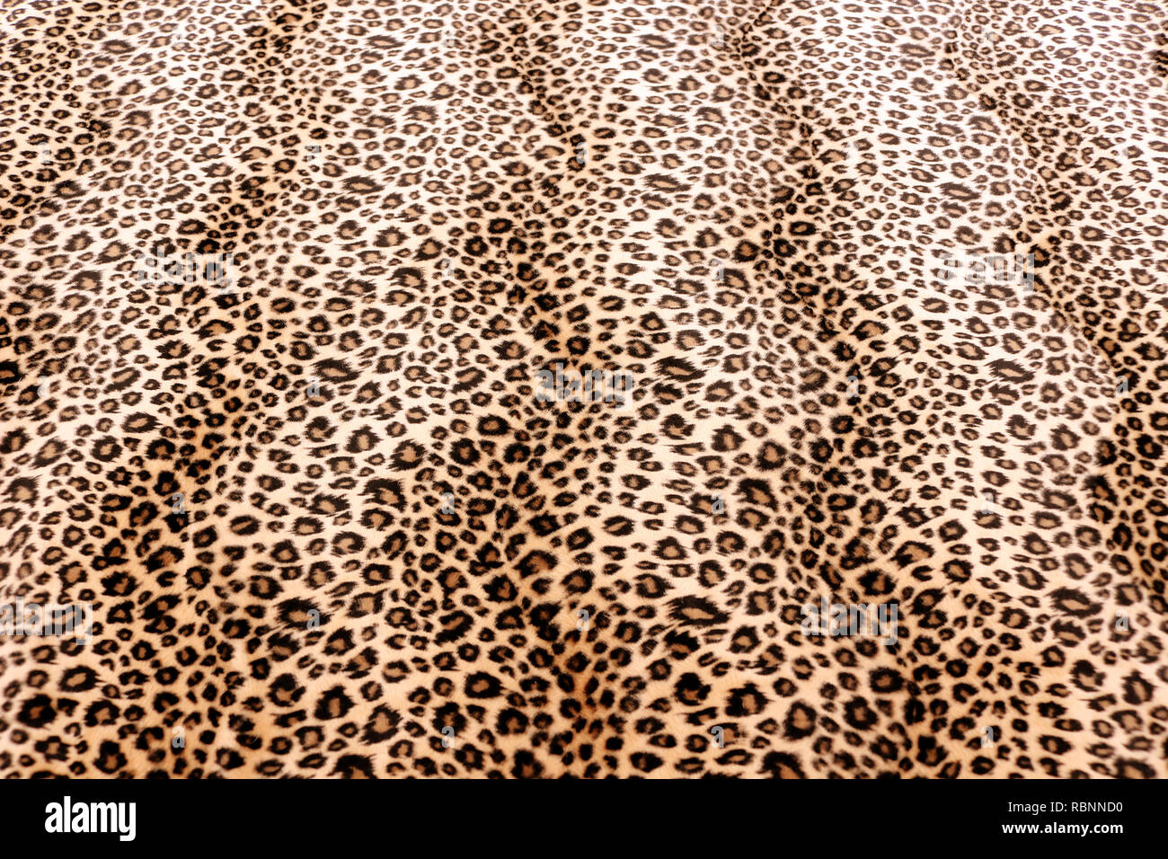 Leopard print fabric texture hi-res stock photography and images - Alamy