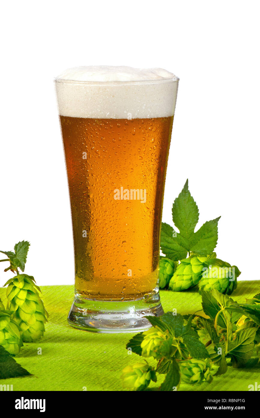 Glass of beer and hops on the white background Stock Photo - Alamy