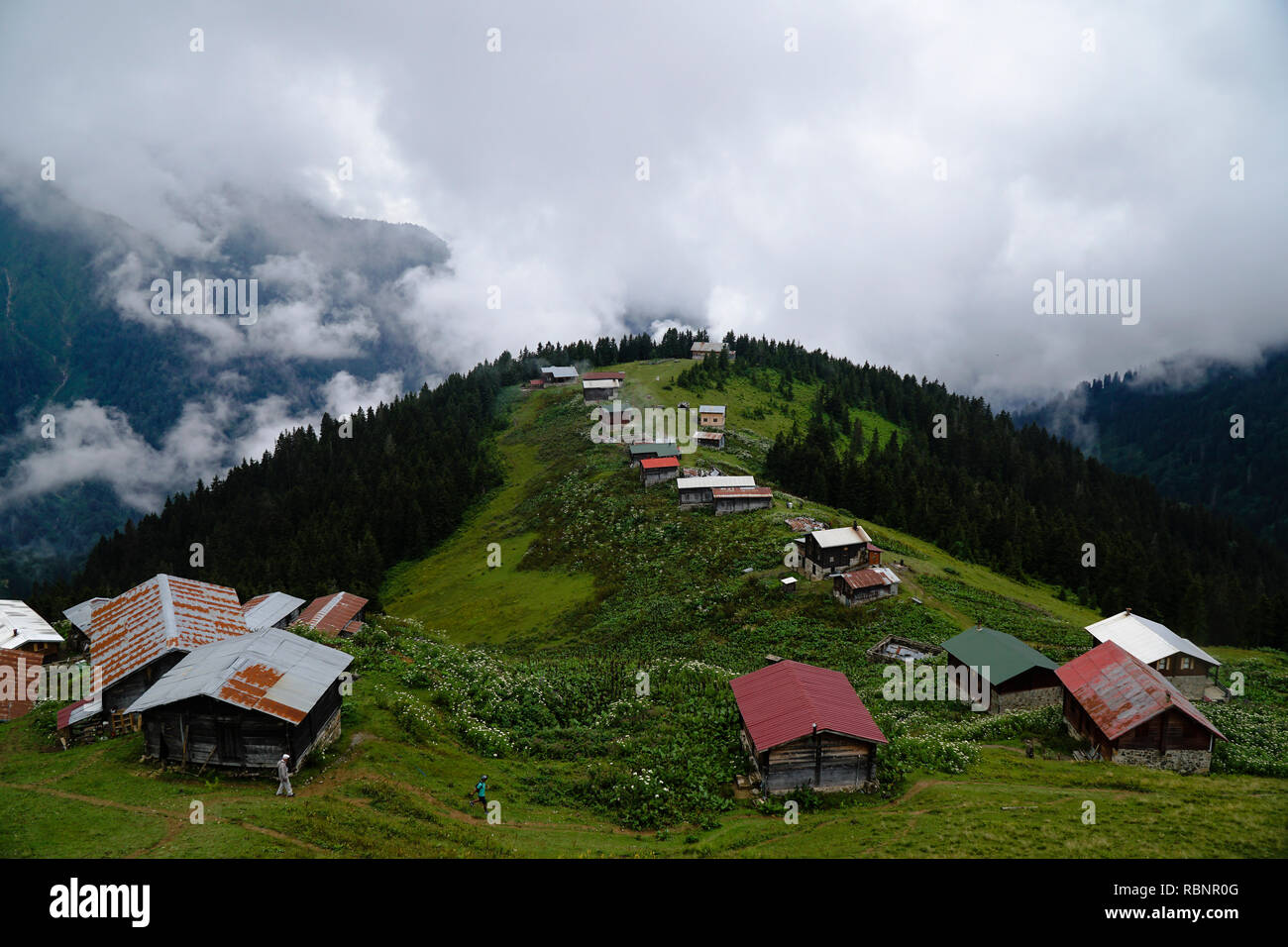 Mountains, clouds and forests with huts at The Pokut Plateau at Rize ...