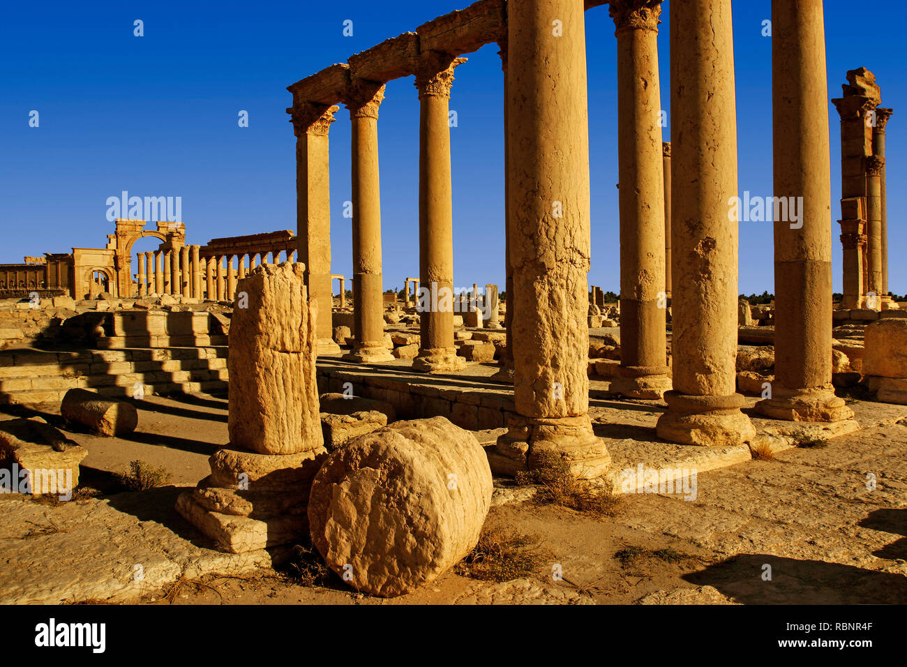 Palmyra syrian desert hi-res stock photography and images - Alamy